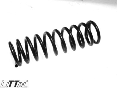 Littal 19-08 Coil Spring Van Type-2 (Set Of 2 Pcs) for Maruti Suzuki ...